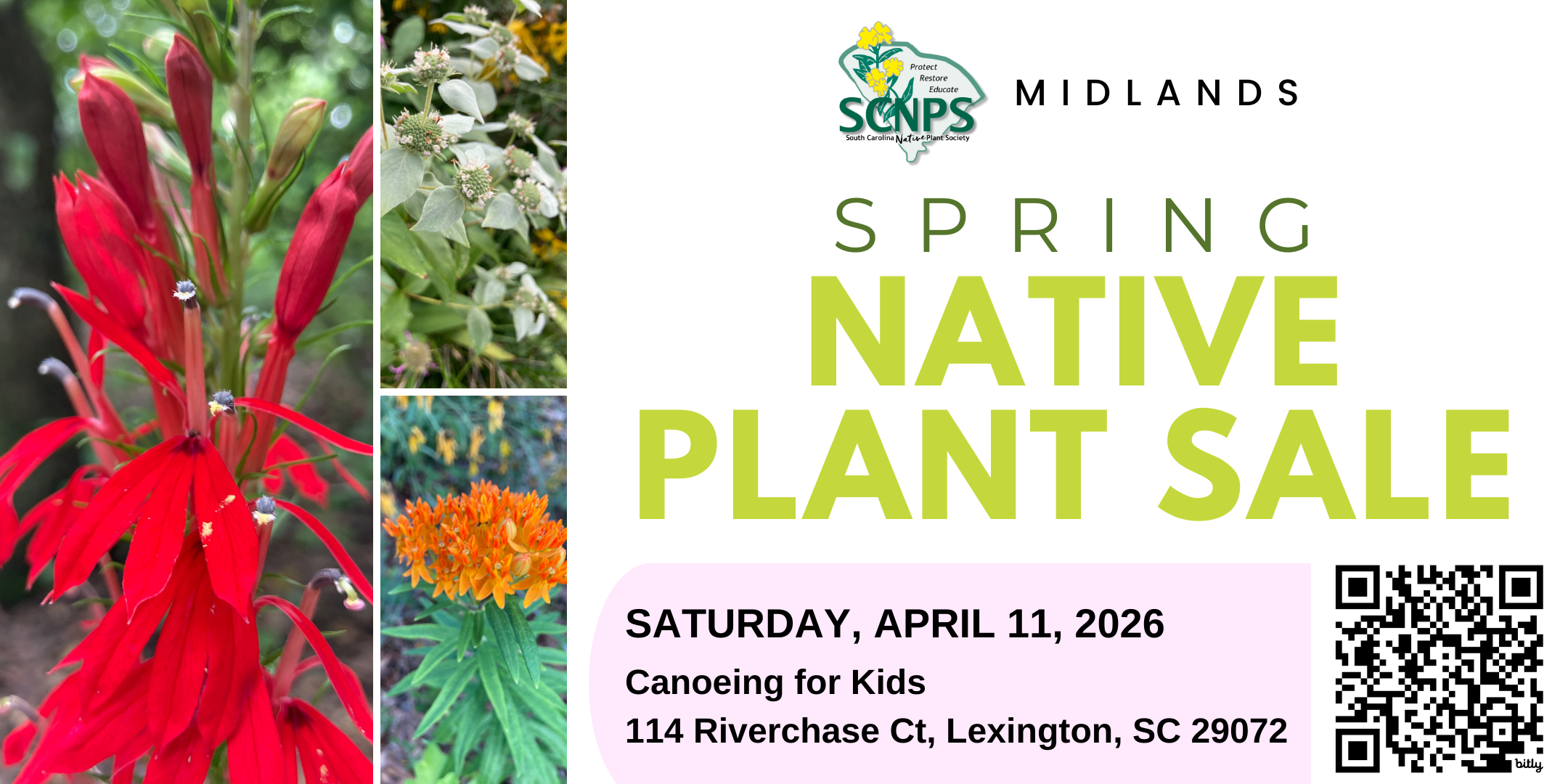 Midlands Spring Native Plant Sale - Columbia Metropolitan Magazine